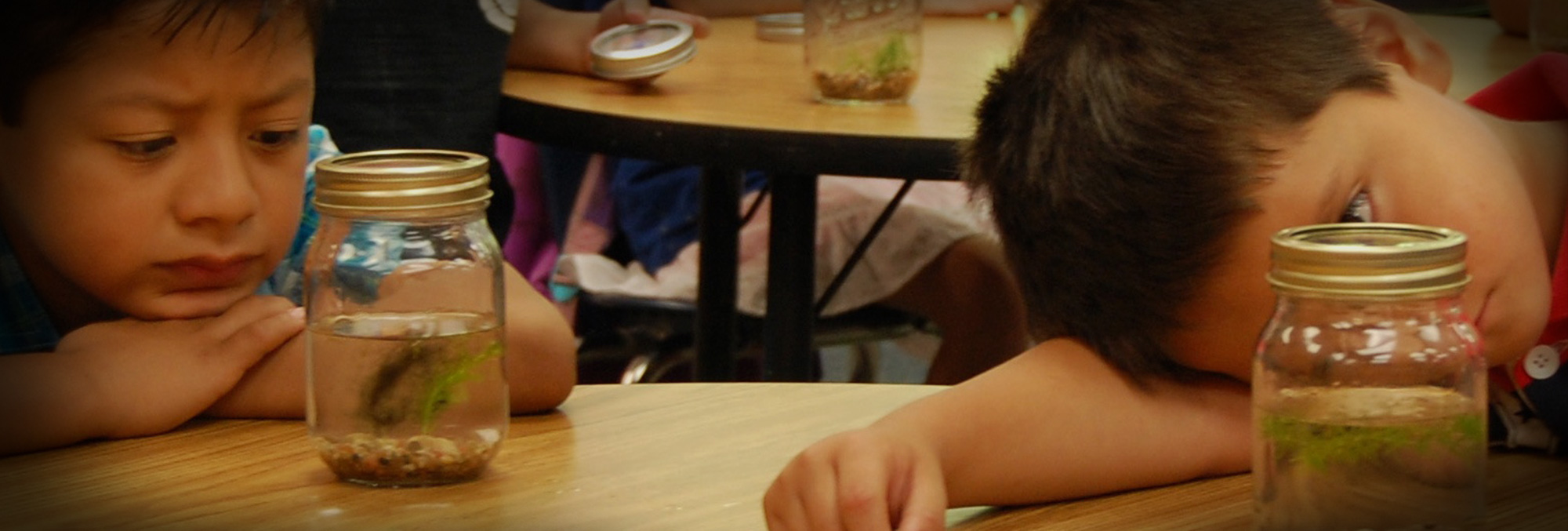 Reaction Time | Discovery Gateway Children's Museum